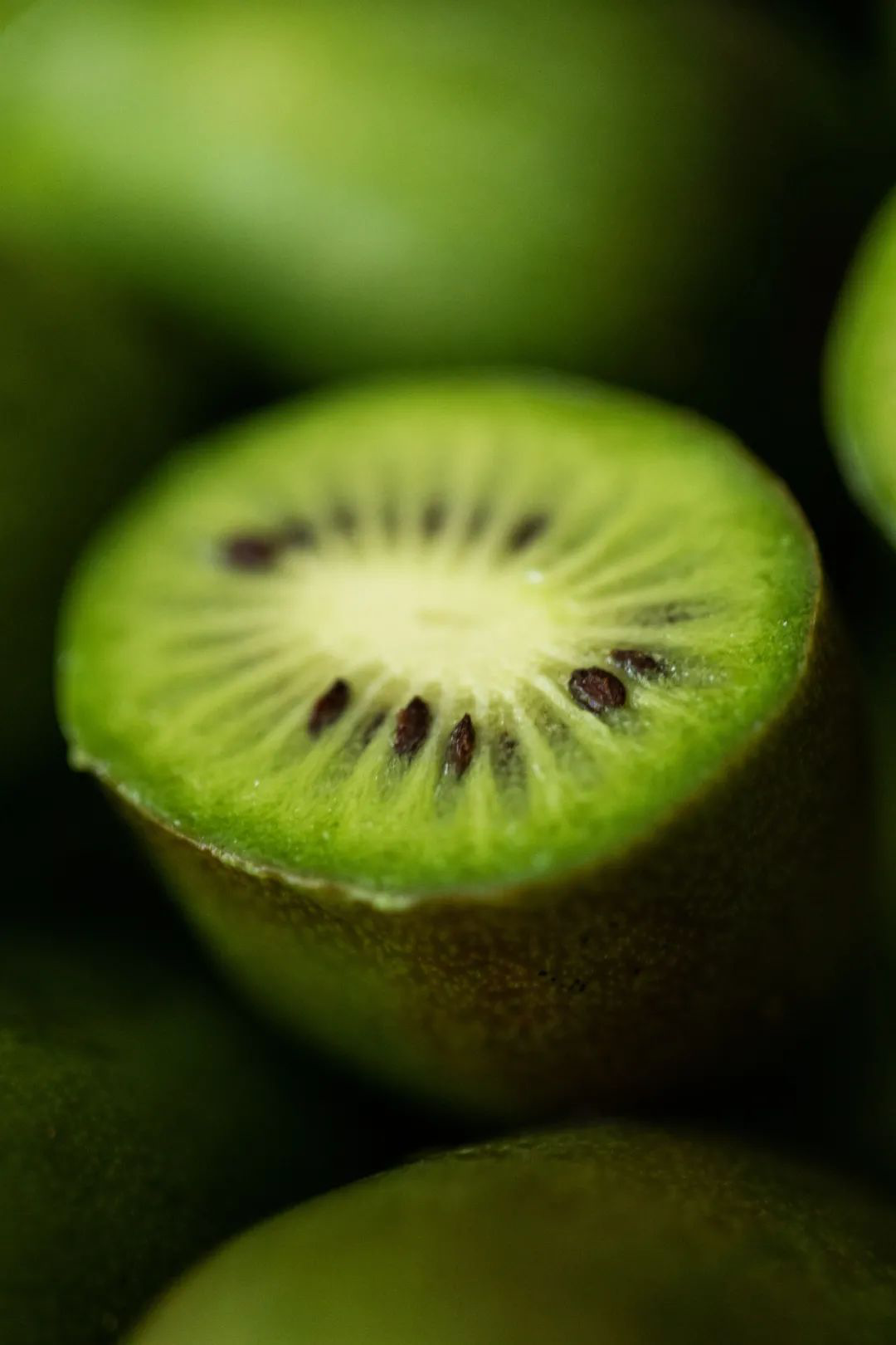 新西兰网红水果 Kiwiberry，到底是什么东西？