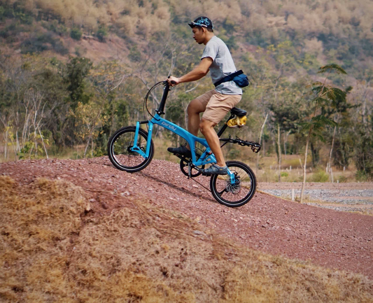 折叠车中的隐藏大佬，来聊一聊Birdy Bike！
