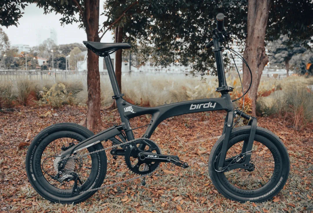 折叠车中的隐藏大佬，来聊一聊Birdy Bike！