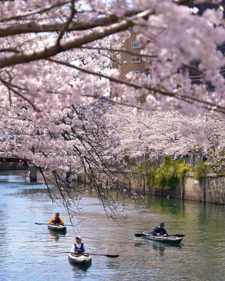是时候买条折叠船了，FOLBOT教你如何玩转战术风露营