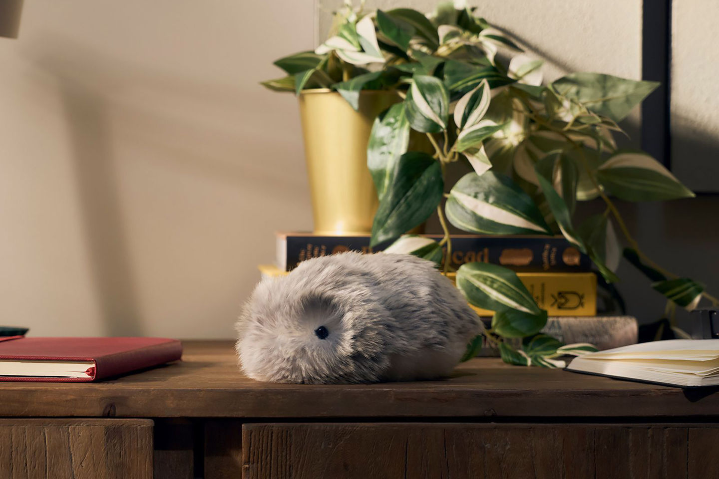 第二代安踏膜年内正式发布，中国自研科技突围户外产业格局